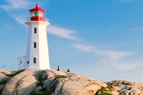 Veezo - Your Virtual Security Officer